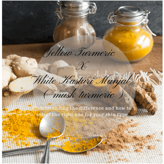 Yellow Manjal vs White Kasturi Manjal - Difference between the two ...